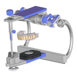 Virtual Articulator